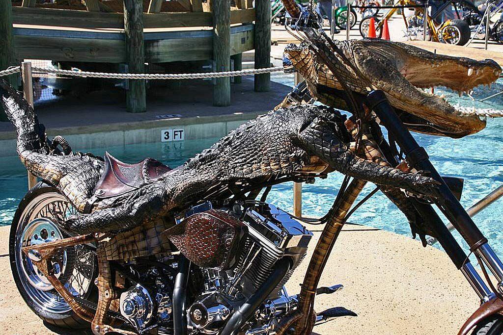 Steeles Motorcycles Daytona Beach | Reviewmotors.co