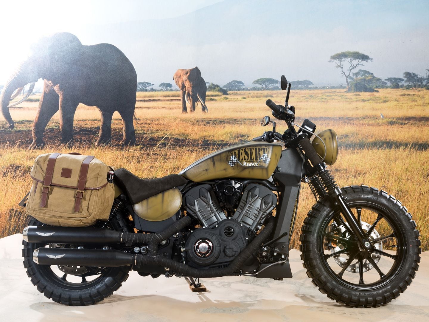 Operation Octane International Champion: Desert Racer | Motorcycle Cruiser