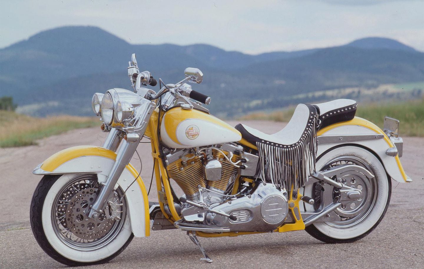 Classic Harley Paint Schemes 1990