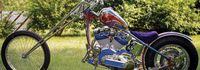 The Chopper Photos of Sandy Roca | Motorcycle Cruiser