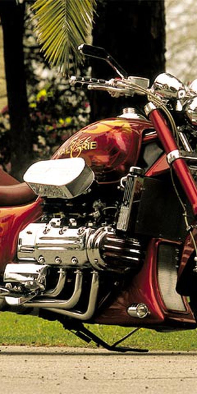 Honda Valkyrie Custom Color