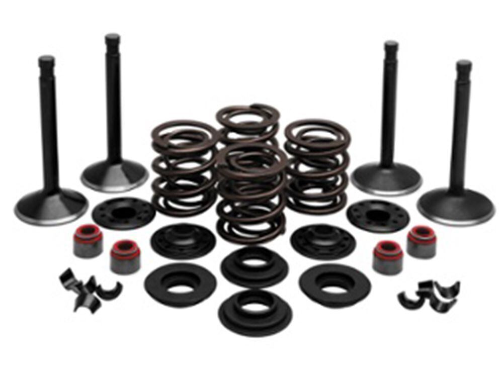 Valve and Spring Kits from Twin Power | Motorcycle Cruiser